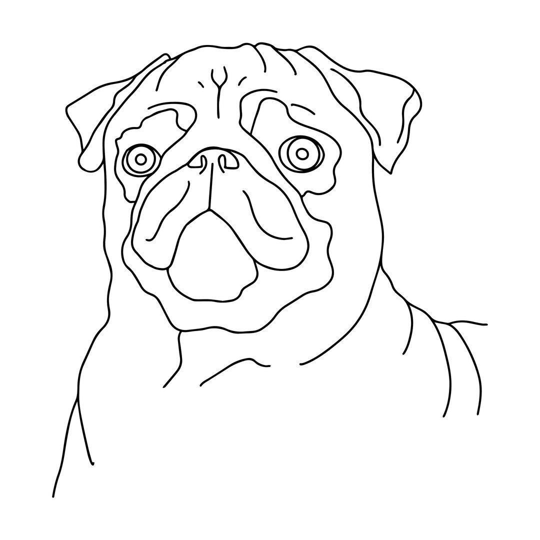 Pug Illustration, Pug Drawing SVG, Dog Illustration SVG, Dog Drawing ...