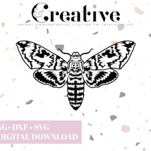 Retro Moth, Moth SVG, Retro Moth SVG, Decal Files, Cut Files for Cricut ...