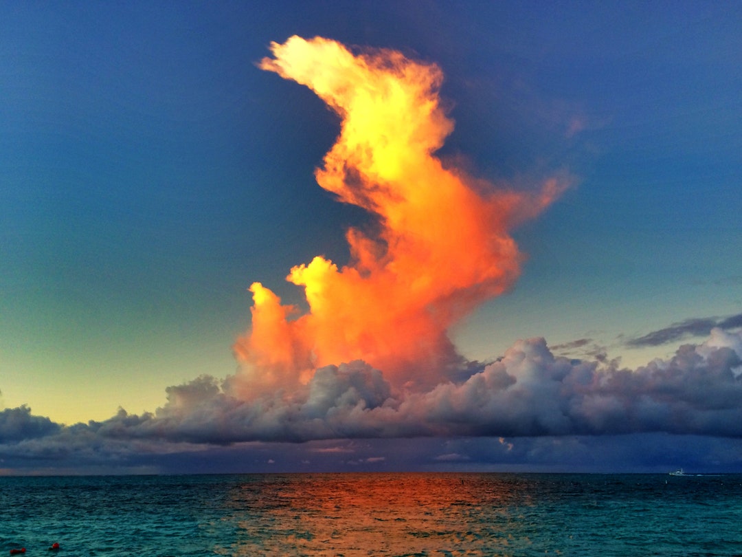 Fire of the Caribbean, Turks and Caicos - Etsy