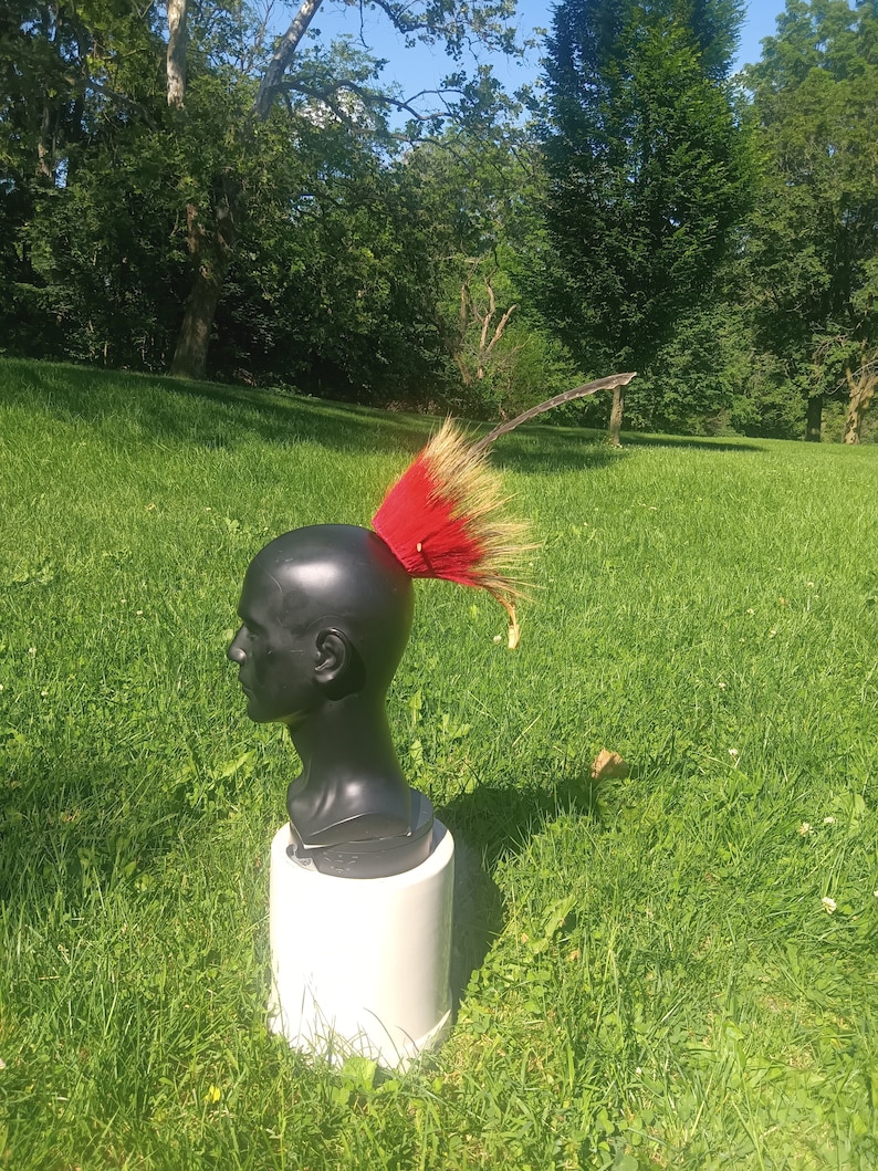 Native American Porcupine Hair Roach Head Dress. Siga-lega, Paynash ...