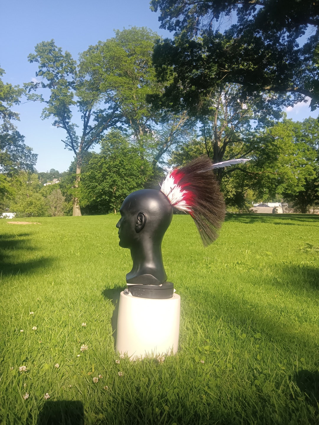 Native American Horses Hair Roach Head Dress. "porky Roach Style" Siga ...