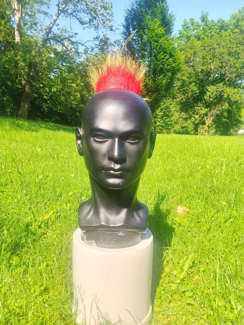 Native American Porcupine Hair Roach Head Dress. Siga-lega, Paynash ...