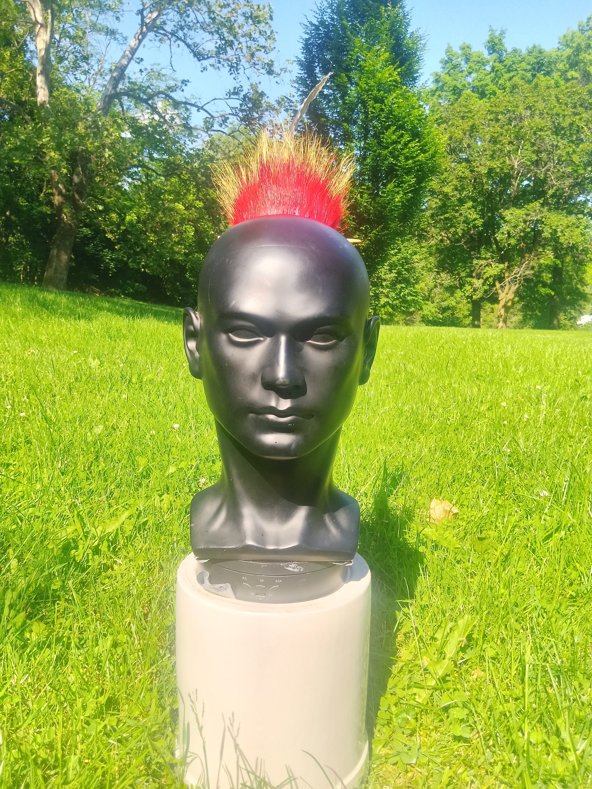 Native American Porcupine Hair Roach Head Dress. Siga-lega, Paynash ...