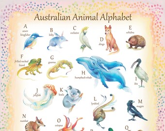 Australian Animals Coloring - Etsy Australia