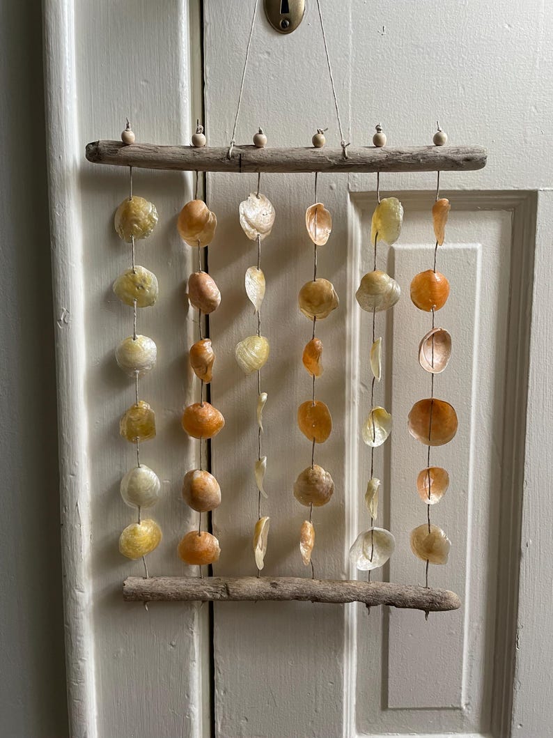 Handmade Jingle Shell and Driftwood Wind Catcher, Rustic Coastal Decor ...