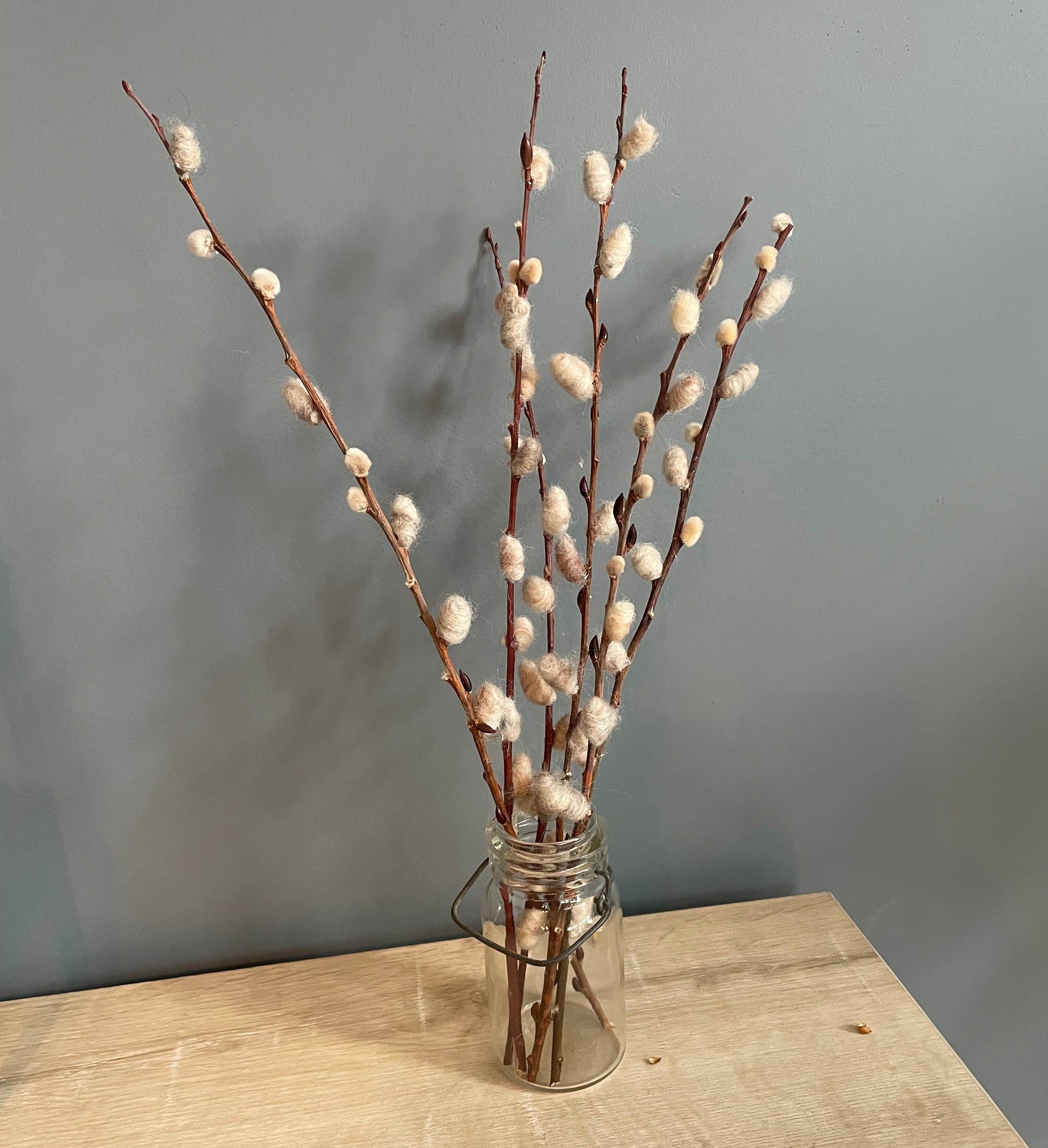 Felted Wool Pussy Willow Branches, Rustic Spring Decor, Easter and ...