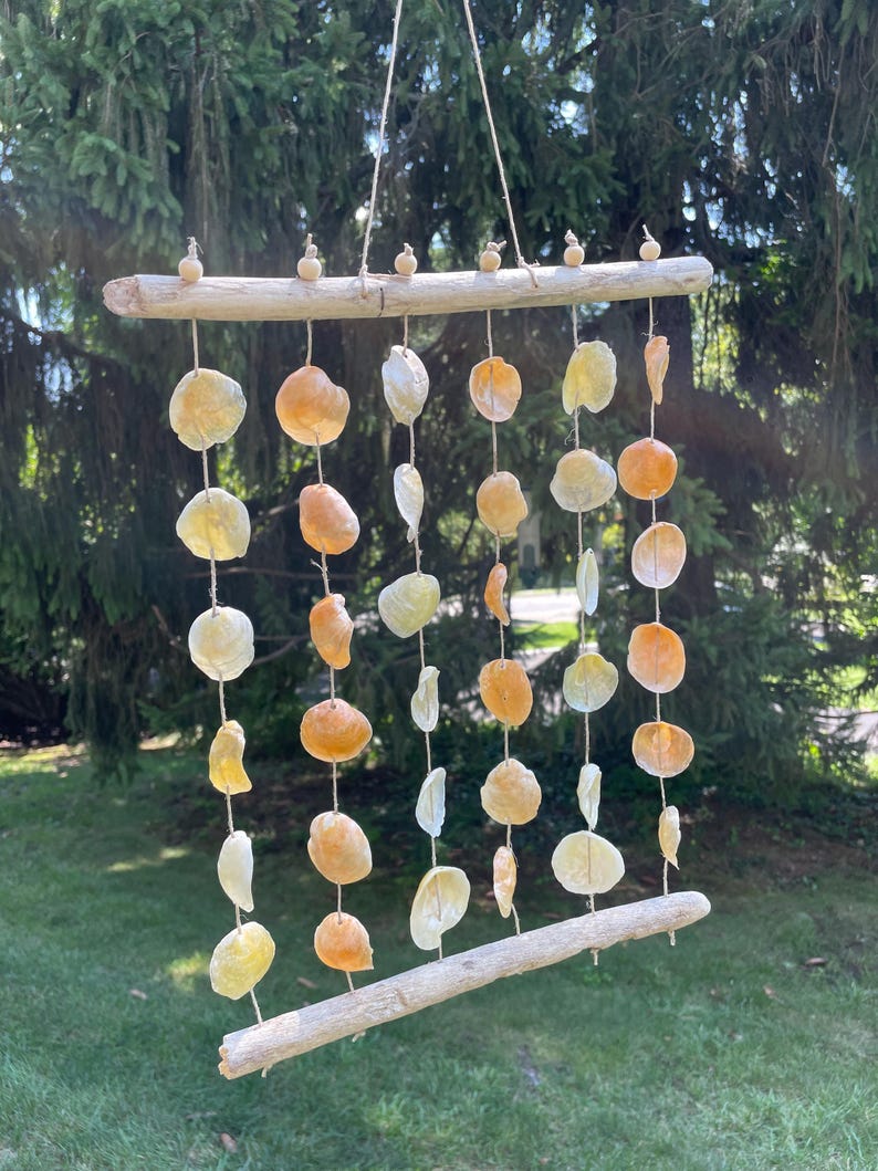 Handmade Jingle Shell and Driftwood Wind Catcher, Rustic Coastal Decor ...