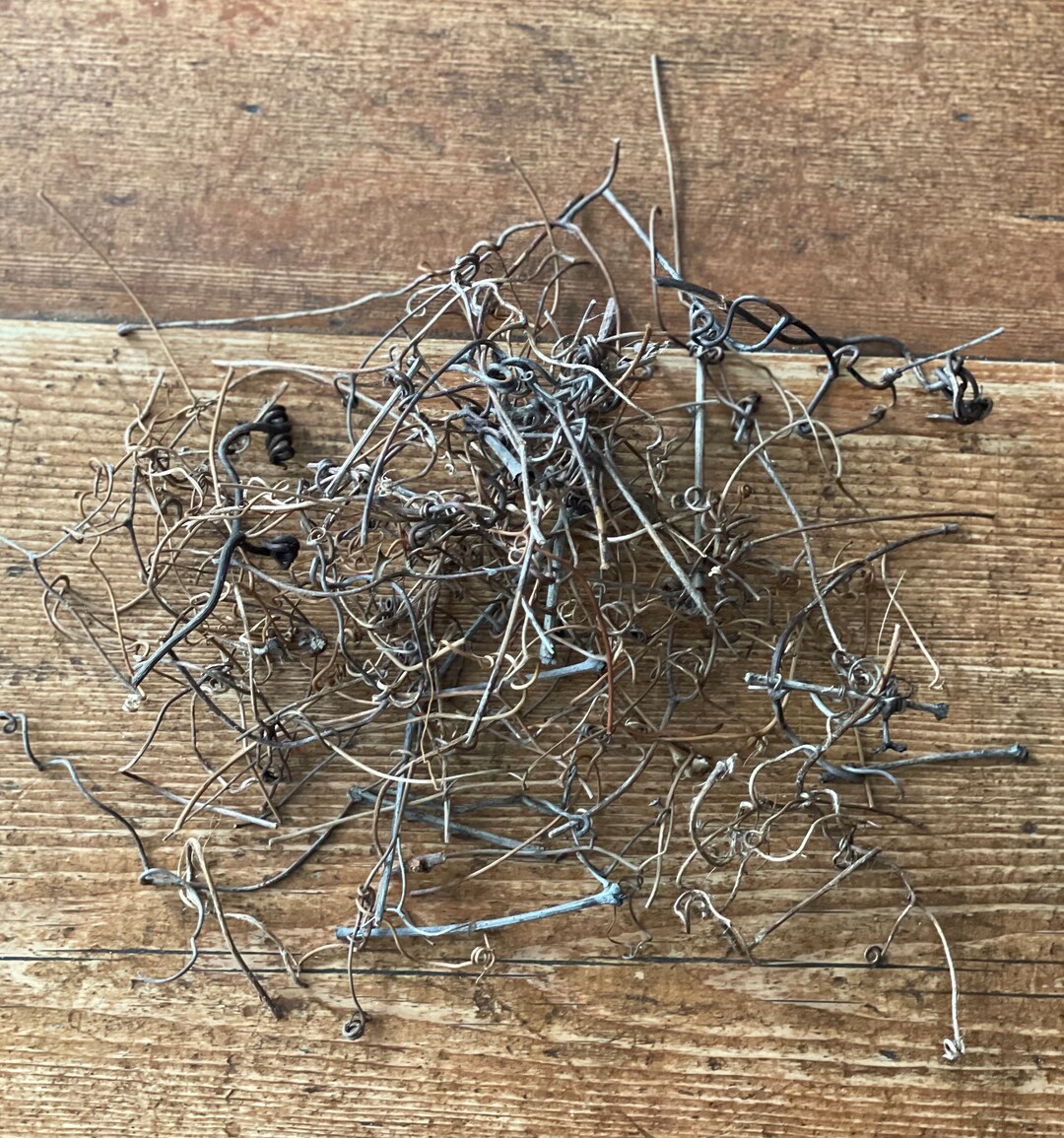 Natural Dried Grapevine Tendrils, Rustic Crafting Supplies, Eco ...