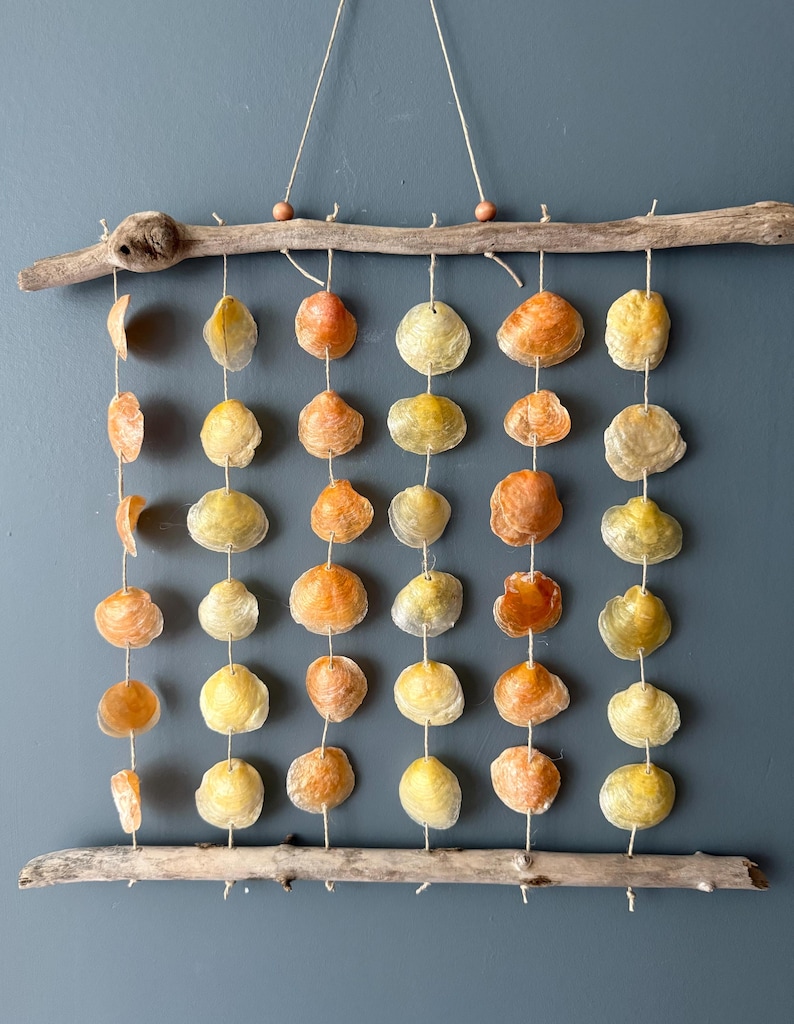 Handmade Jingle Shell and Driftwood Wind Catcher, Rustic Coastal Decor ...