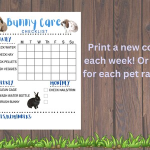 Bunny Chore Chart Printable for Kids or Petsitter | Printable Rabbit ...