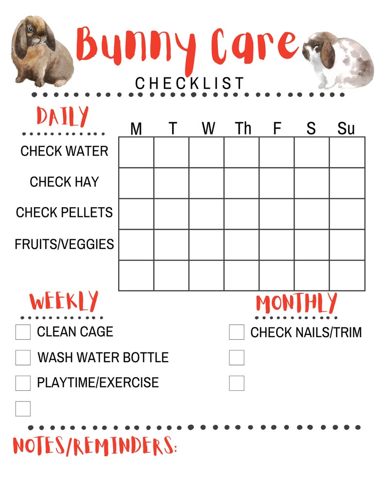 Kids Bunny Chore Chart - Easy Rabbit Care Organization for Kids, Adults ...