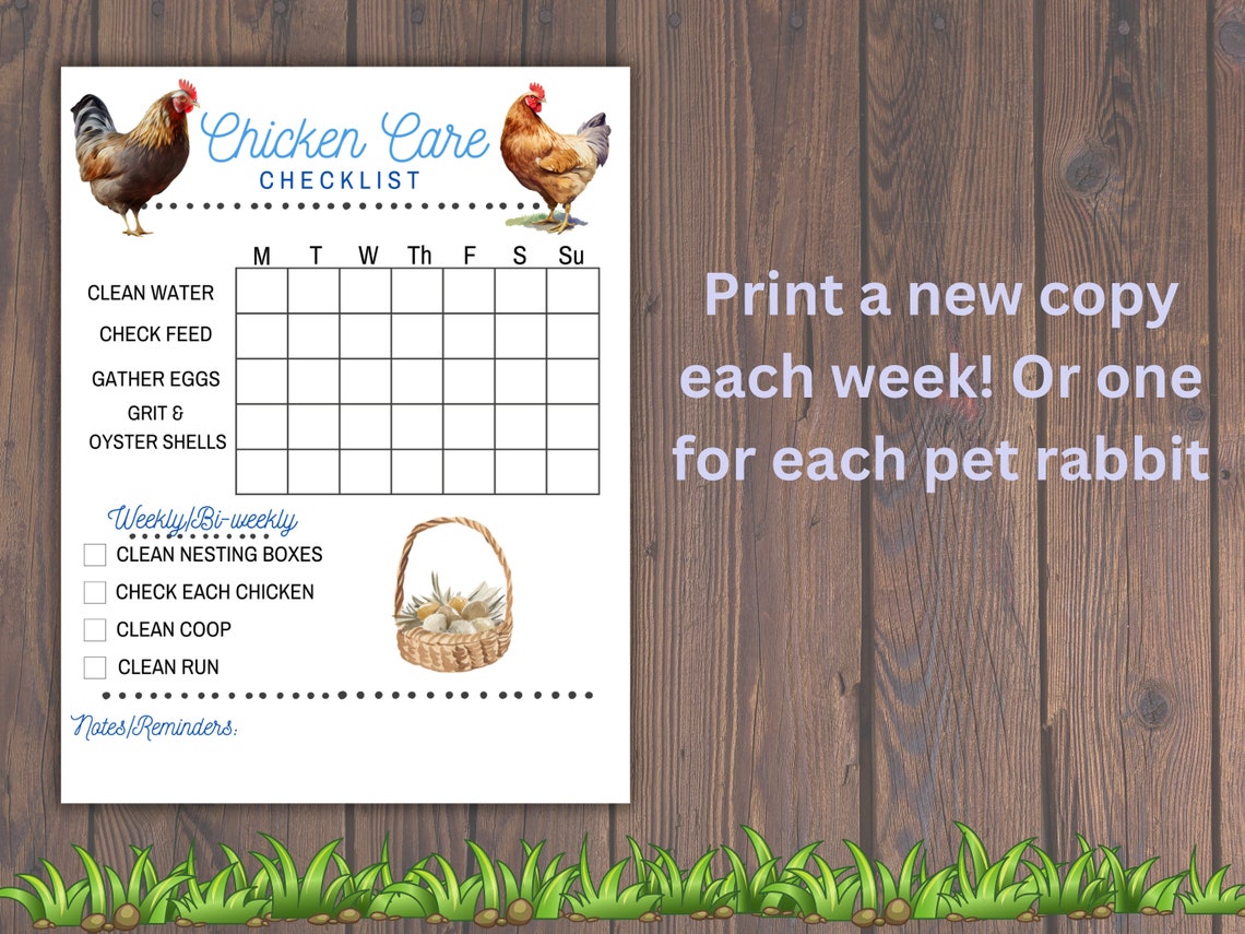 Chicken Chore List Hen Care Chart Task Printable Hen Care Instant ...