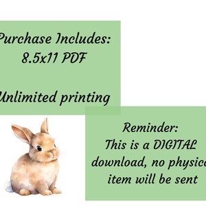 Bunny Chore Chart Printable - Rabbit Care List for Kids, Adults or ...