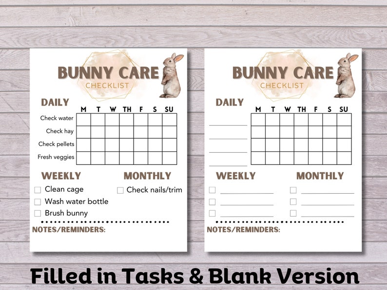 Bunny Rabbit Chore Chart Two Version Blank/prefilled Daily & Weekly ...
