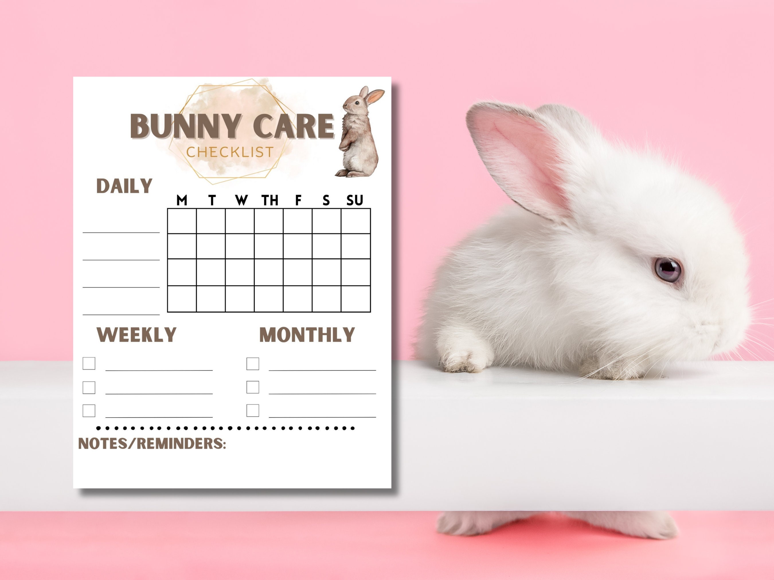 Bunny Rabbit Chore Chart Two Version Blank/prefilled Daily & Weekly ...