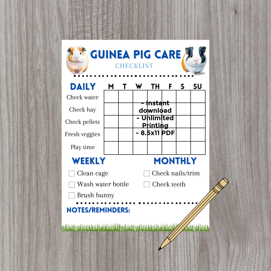 Guinea Pig Care Checklist Chart Great for Kids Adults or - Etsy