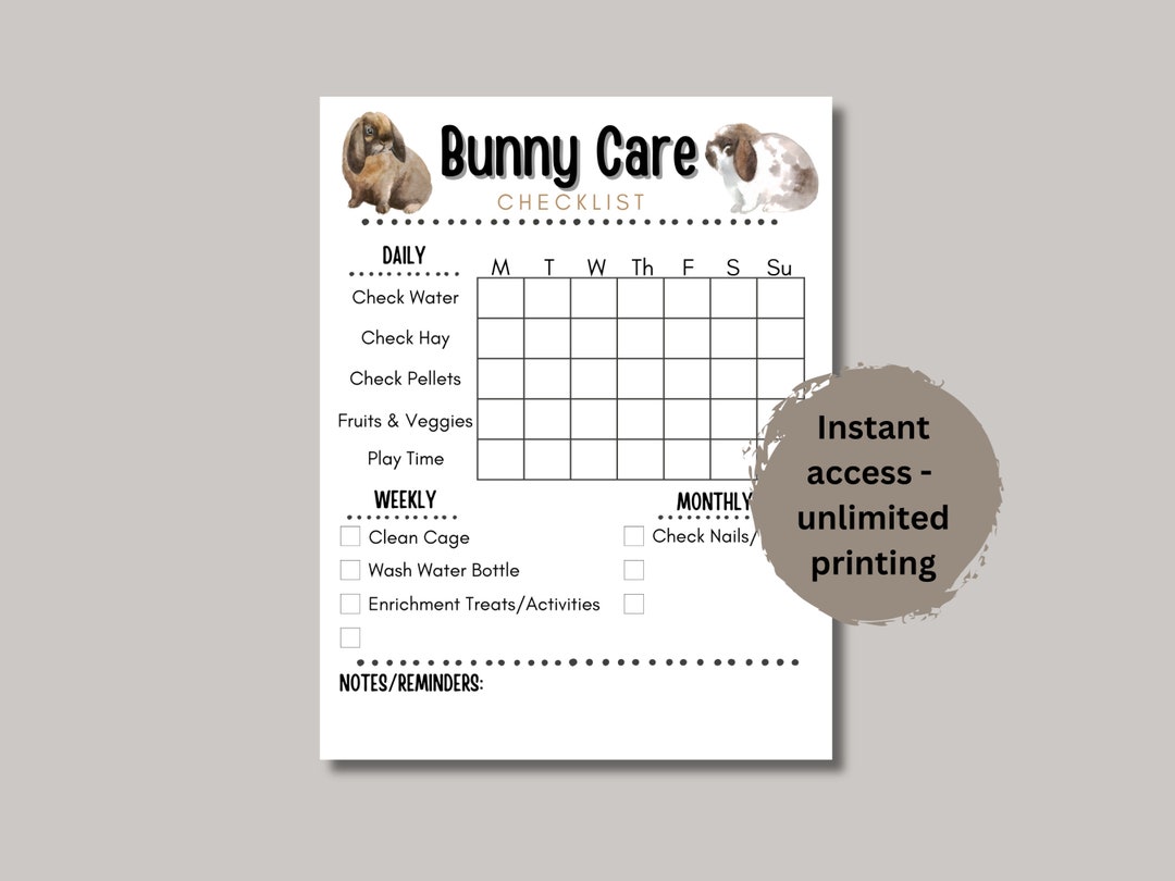 Bunny Chore Chart Bunny Daily Rabbit Pet Care Task Organizer for Kids ...