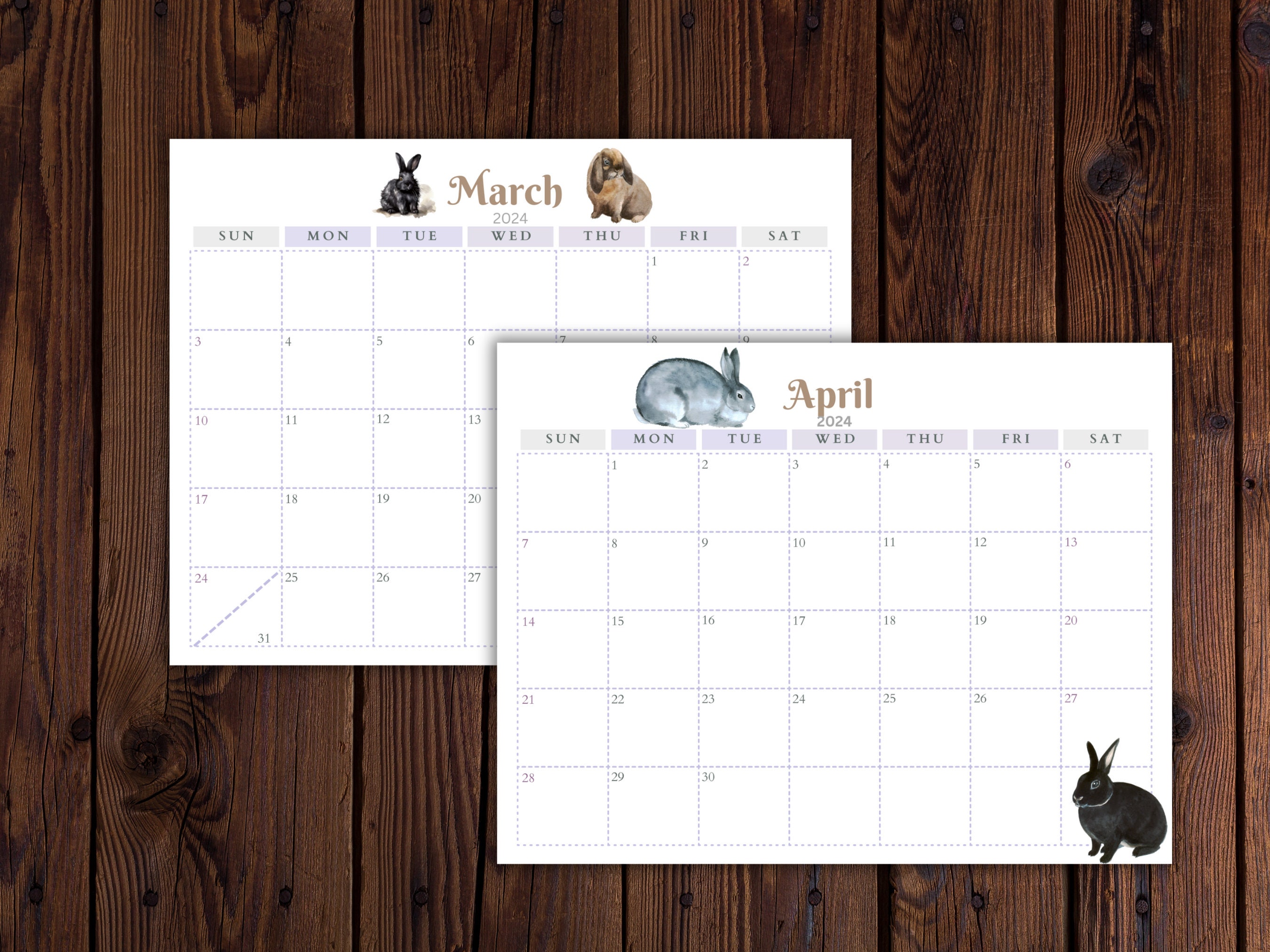 Bunny Rabbit Printable 2024 Wall Calendar 12 Month Minimalist Calendar ...