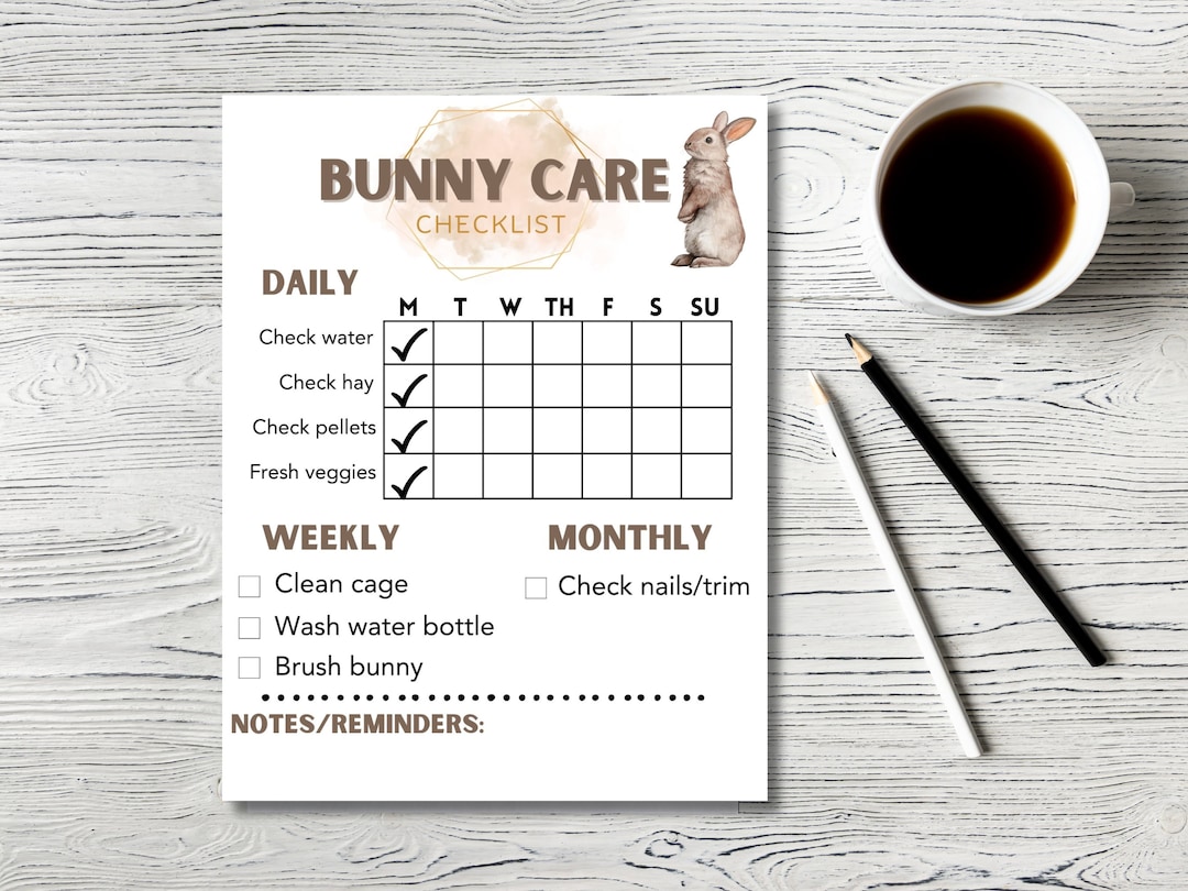 Bunny Rabbit Chore Chart Two Version Blank/prefilled Daily & Weekly ...