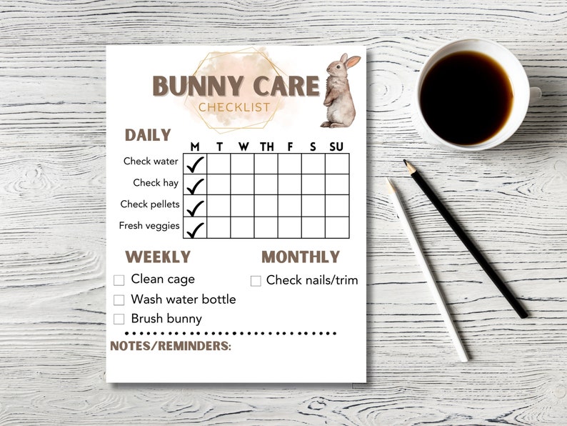 Bunny Rabbit Chore Chart Two Version Blank/prefilled Daily & Weekly ...