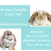 Bunny Chore Chart Printable | Rabbit Care Checklist (PDF Download) - Etsy