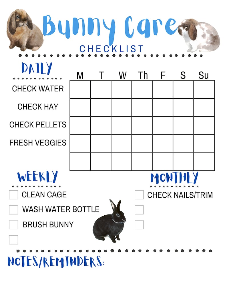Bunny Chore Chart Printable for Kids or Petsitter | Printable Rabbit ...
