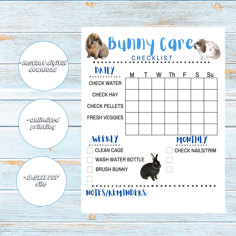 Bunny Chore Chart Printable for Kids or Petsitter | Printable Rabbit ...