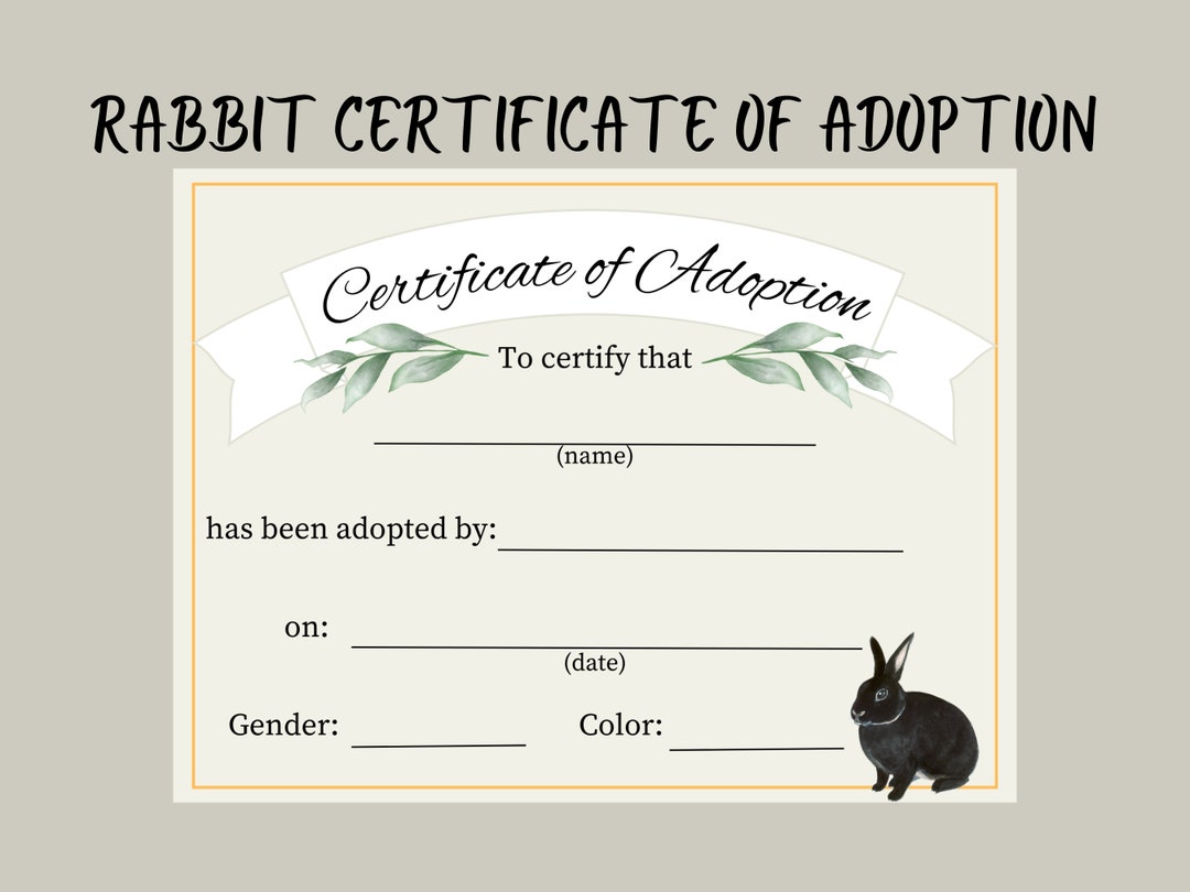Personalized Bunny Rabbit Adoption Certificate Pet Adoption Pet Gift ...