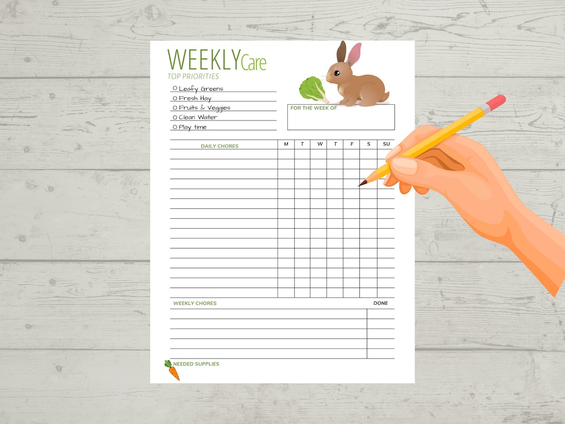 Bunny Chore Chart for Kids Adults or Petsitter Includes Daily and ...