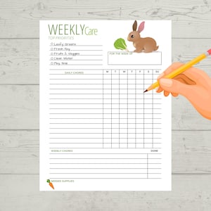 Bunny Chore Chart for Kids Adults or Petsitter - Includes Daily and ...