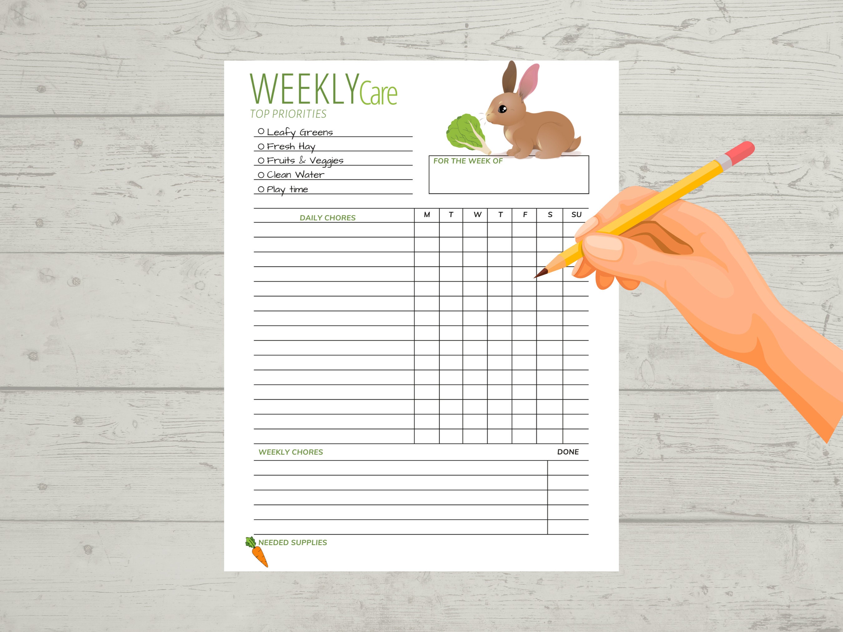 Bunny Chore Chart for Kids Adults or Petsitter Includes Daily and ...