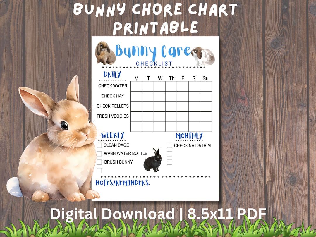 Bunny Chore Chart Printable for Kids or Petsitter | Printable Rabbit ...