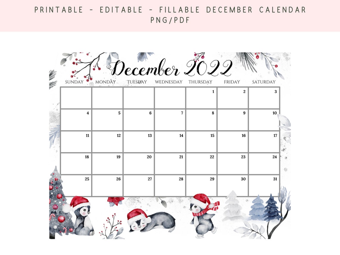 Editable Fillable December 2022 Calendar Printable Planner - Etsy Canada