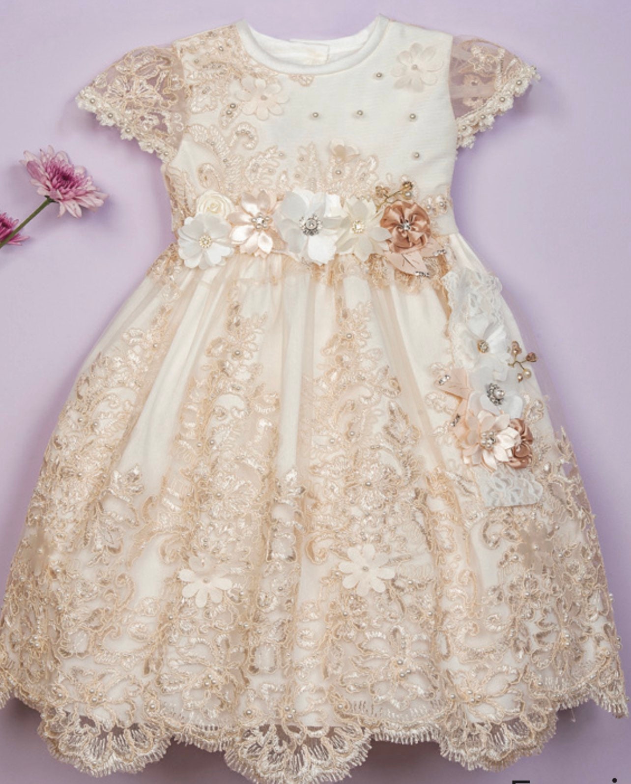 White Lace Embroidered Christening Dress Baptism Gown Baby-girls ...