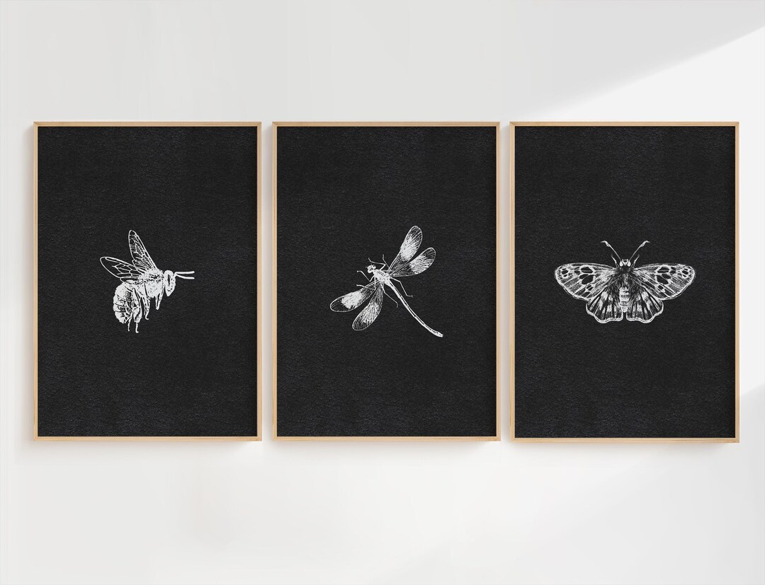Monochrome Insect Prints: Bee, Dragonfly, Butterfly Art (digital ...