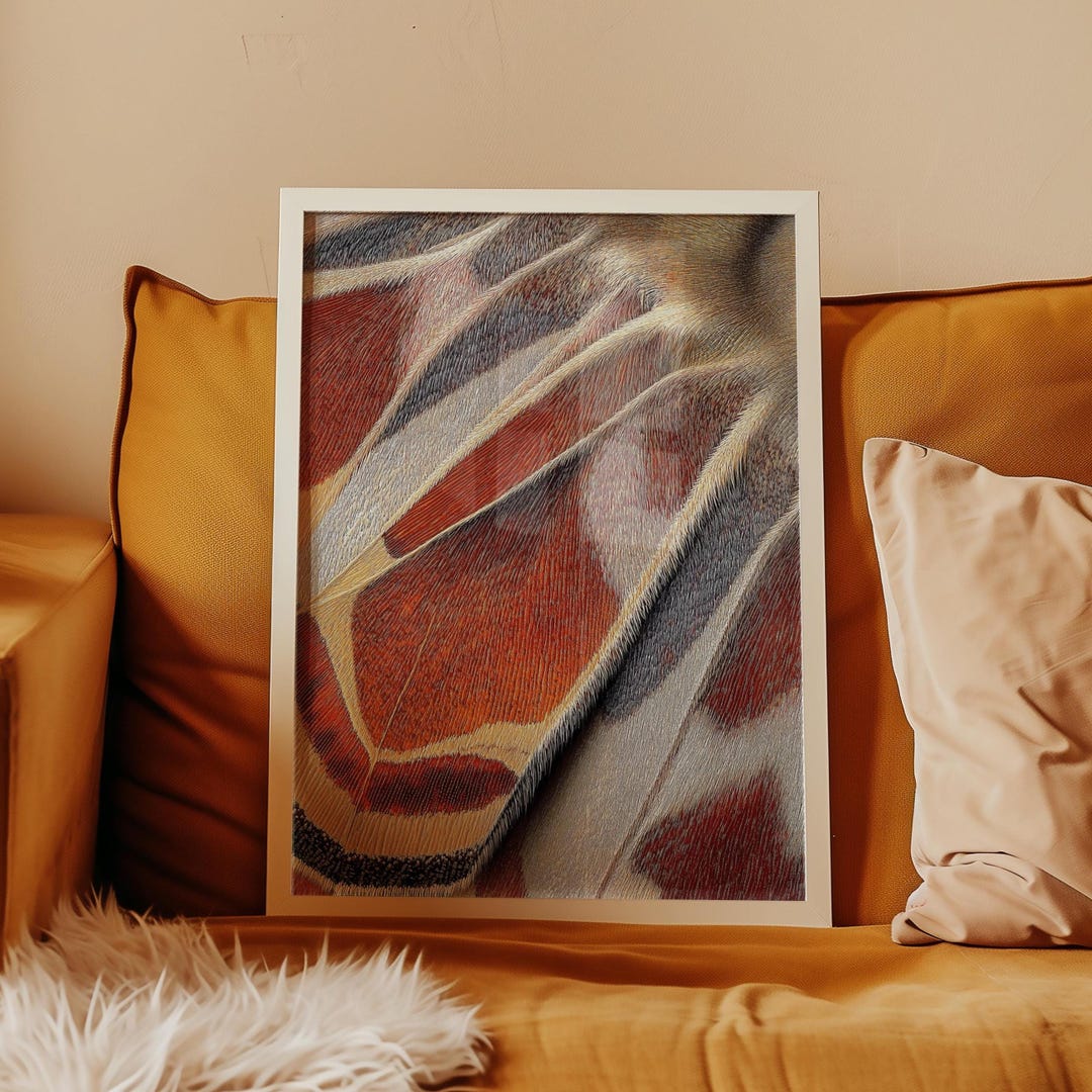 Butterfly Wing Texture Art Print: Macro Nature Decor (digital Download ...