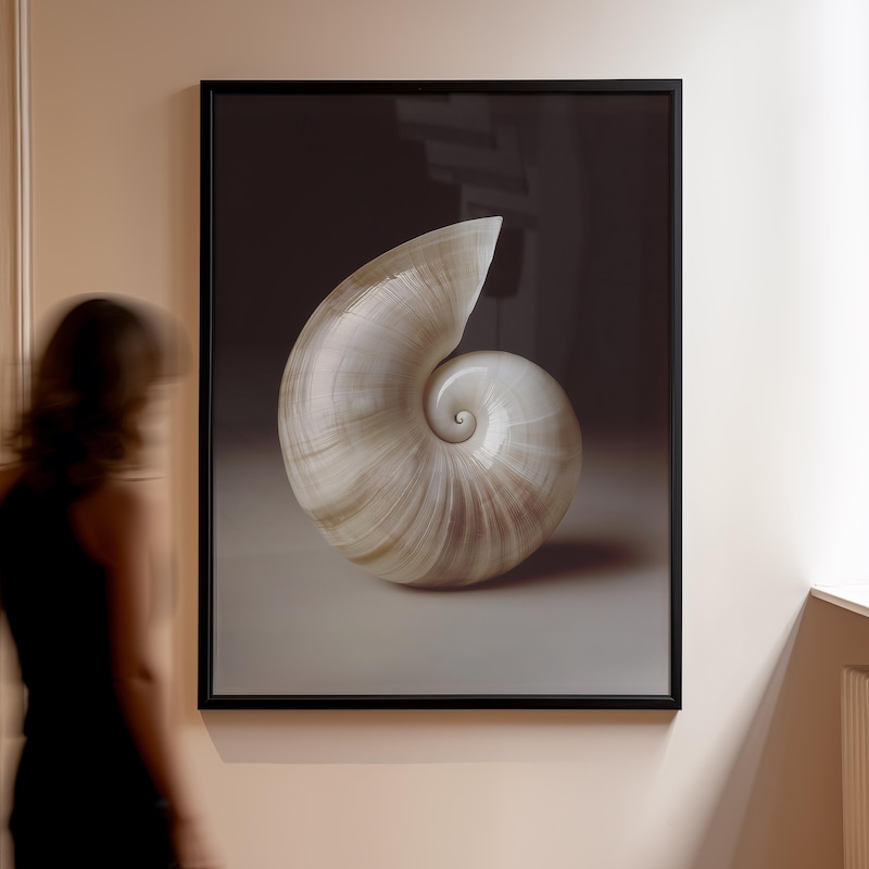 Nautilus Shell Art - Etsy