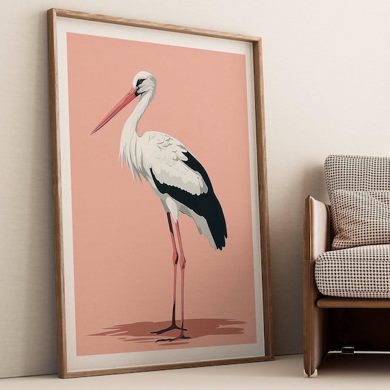 Stork Bird Drawing Stork Bird Illustration Graphics | Motion Array