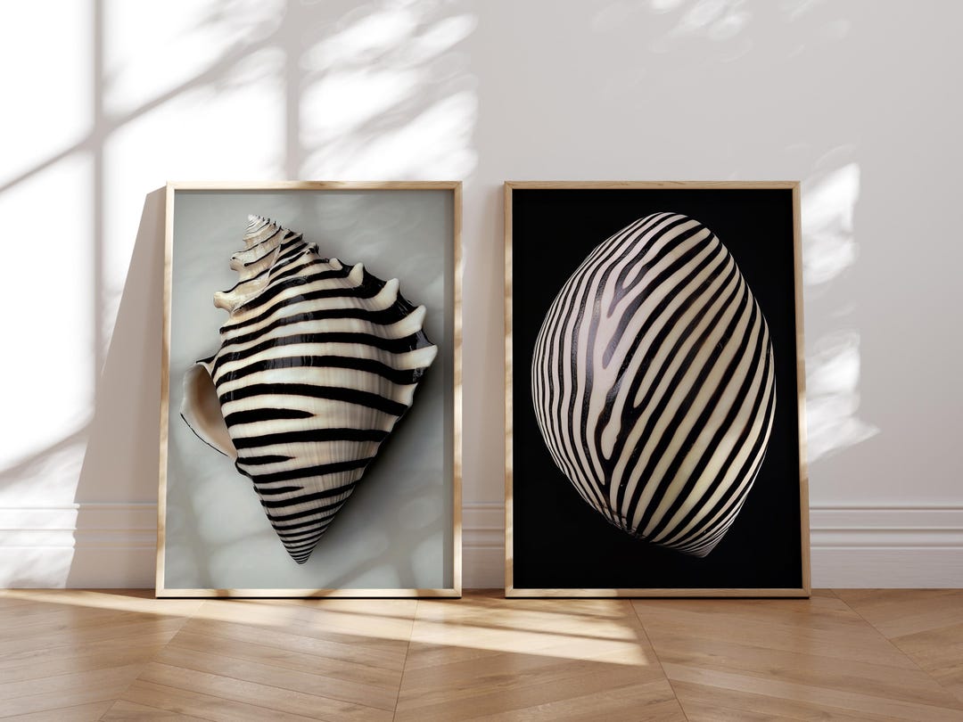 90s Zebra Shell Print Set: Coastal Photography Wall Art (digital ...