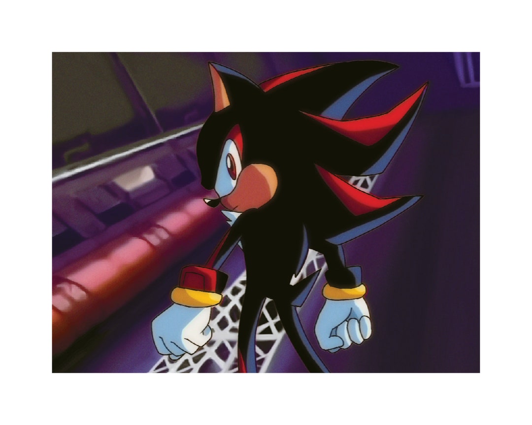 SA2 Shadow Mini 5x3.5 Print - Etsy
