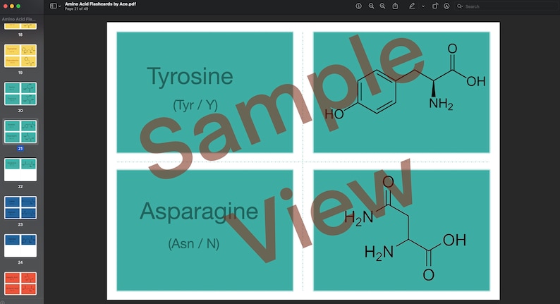 Biochemistry Amino Acid Downloadable Flashcards for Studying - Etsy