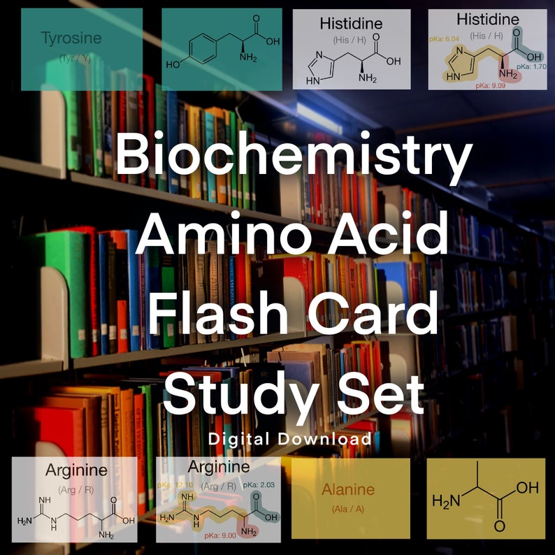 Biochemistry Amino Acid Downloadable Flashcards for Studying - Etsy