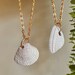 Natural Seashell Necklace on Gold Chain, Real Shell Necklace, Gold ...