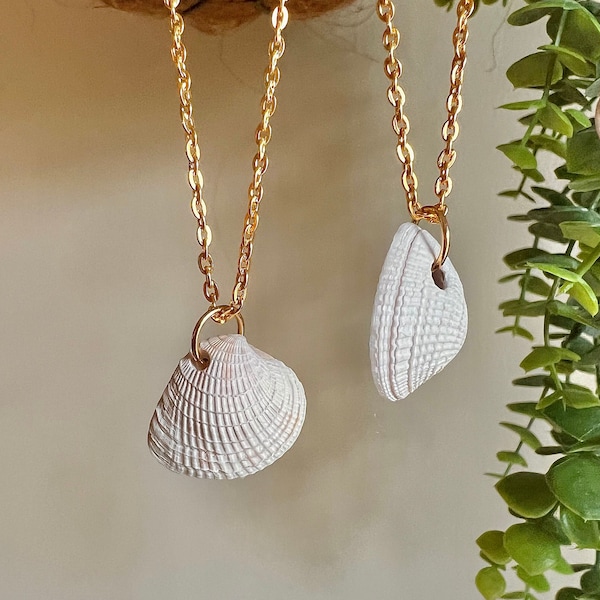 Real Shell Necklace - Etsy