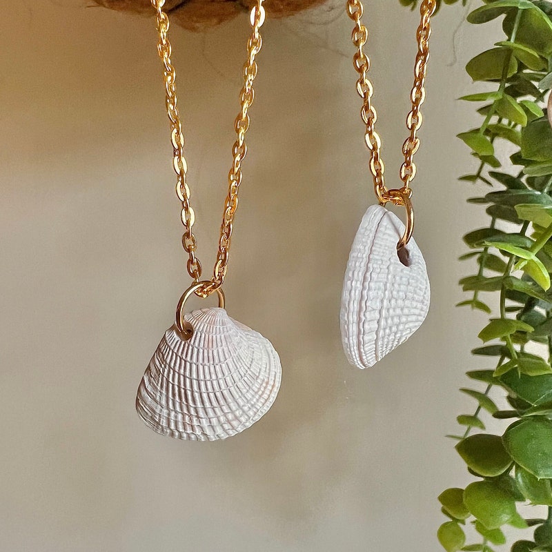 Real Seashells - Etsy
