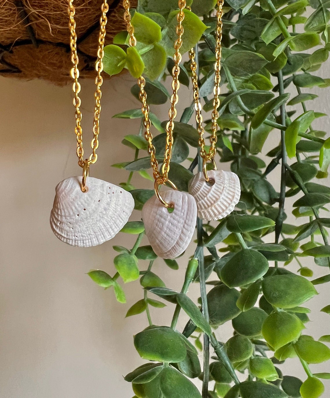 Natural Seashell Necklace on Gold Chain, Real Shell Necklace, Gold ...