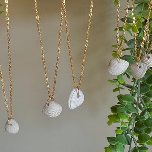 Natural Seashell Necklace on Gold Chain, Real Shell Necklace, Gold ...