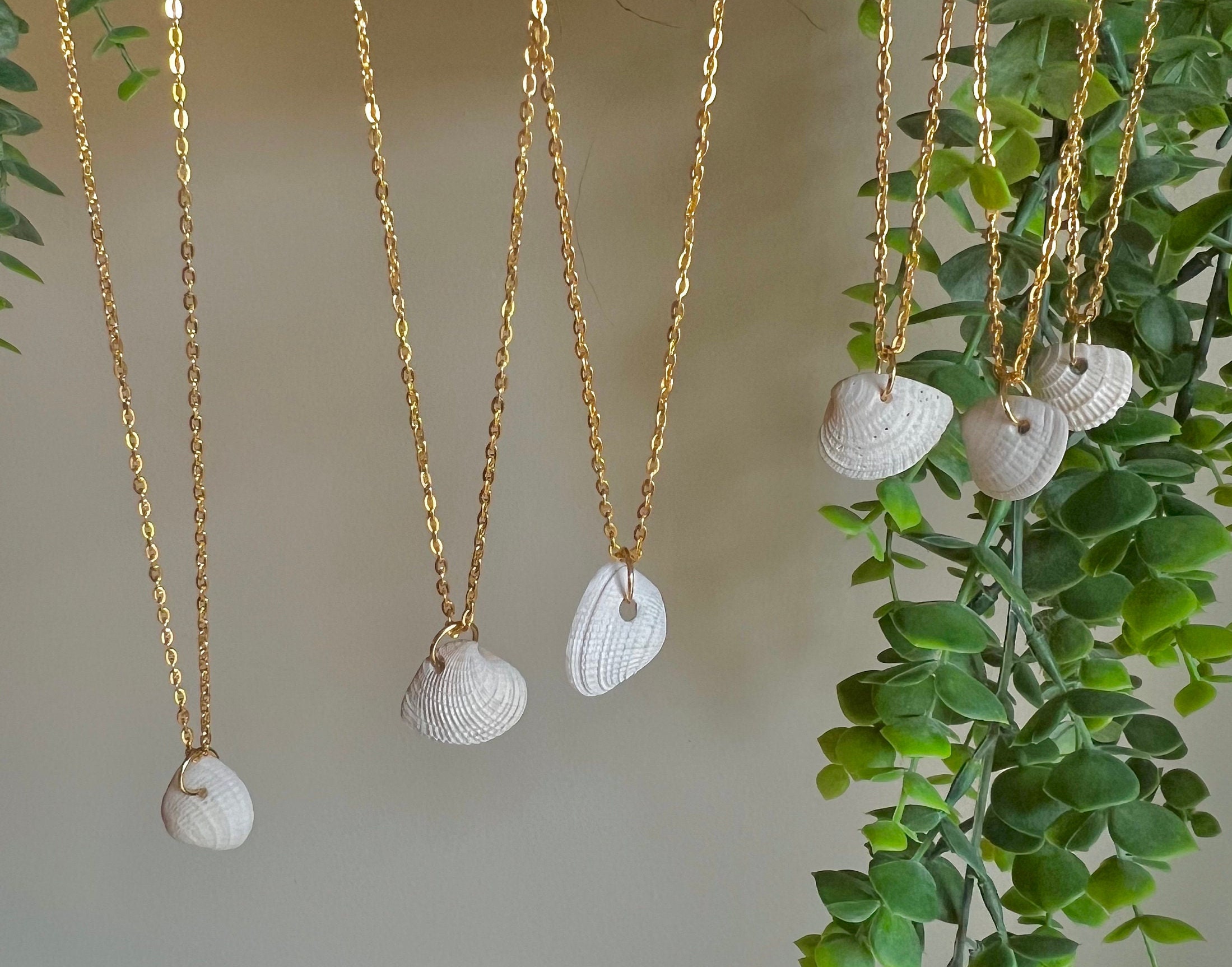 Seashell Necklace Diy