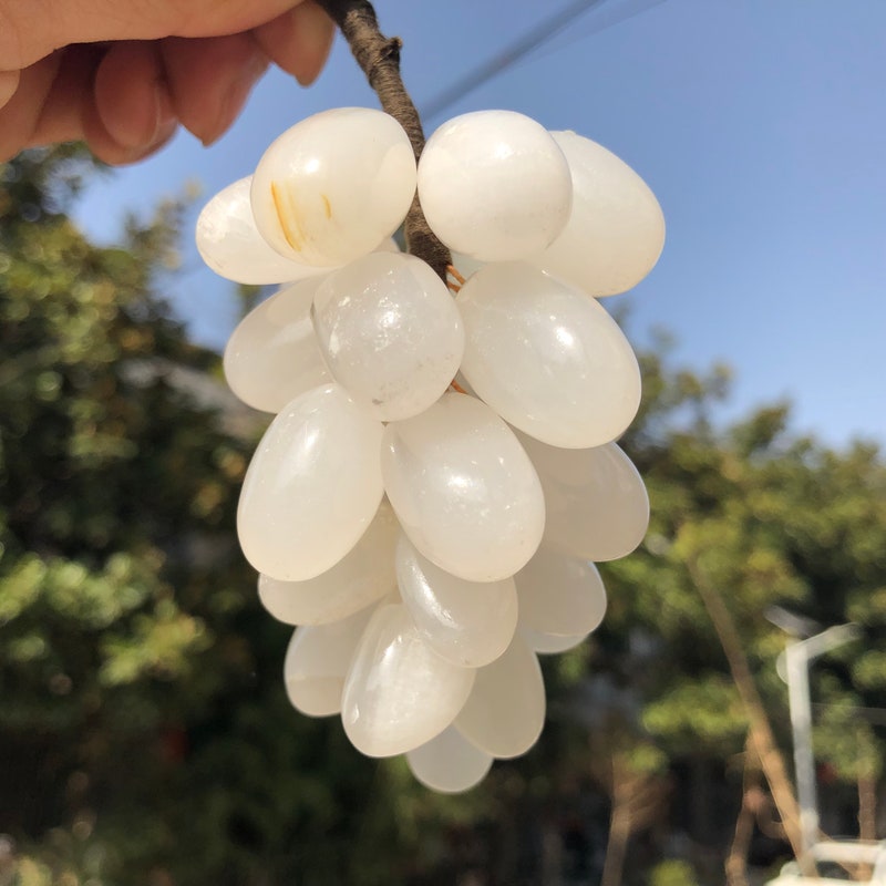 Grapes - Etsy