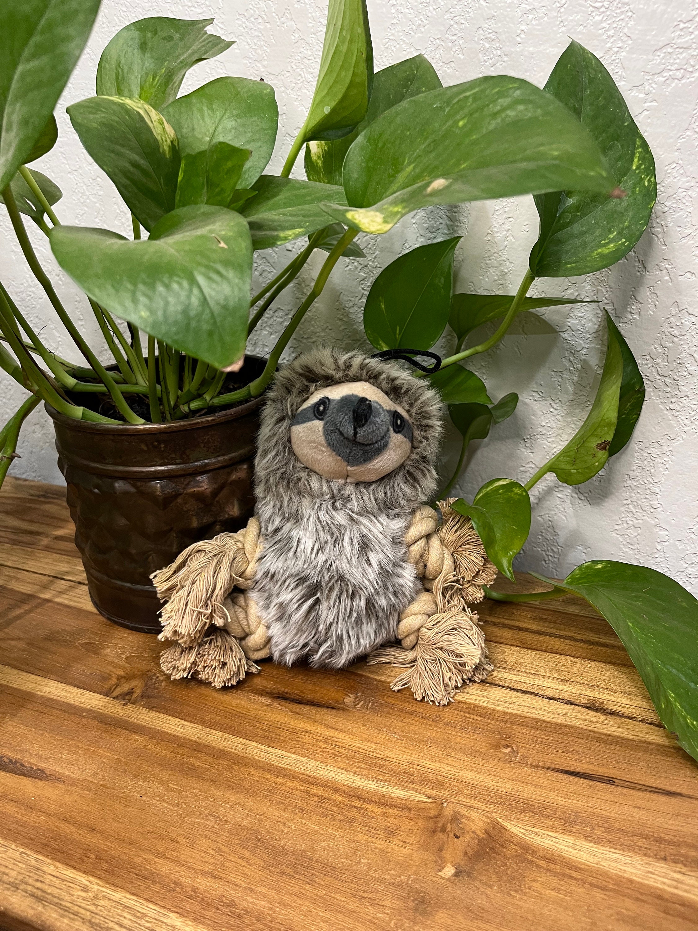 Rapist Sloth Original Photo